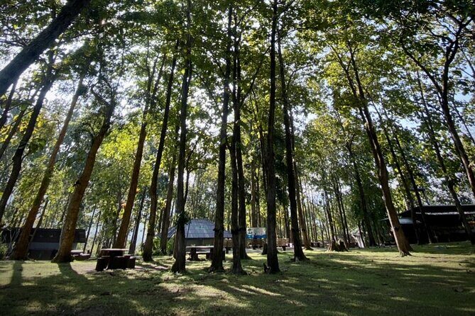 Half day Sticky Waterfall (Bua Thong Waterfall) and local market - An In-Depth Look at the Tour Experience