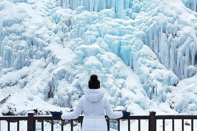 Half Day Strawberry & Snow Sled Tour in Eobi Seoul - The Sum Up