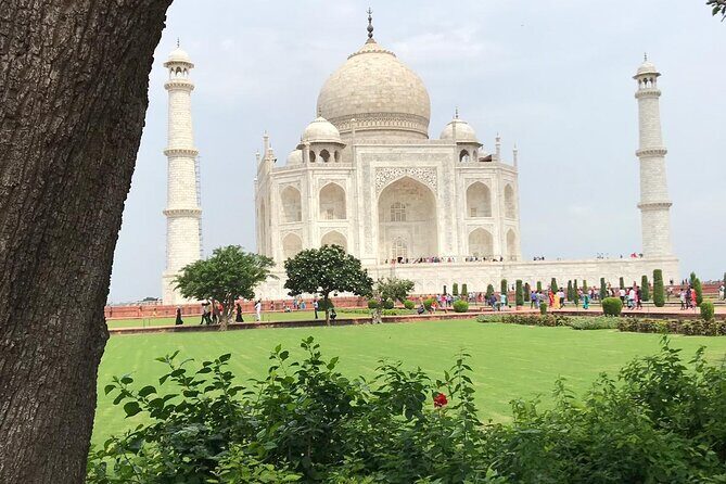 Half Day Sunrise Taj Mahal & Agra Fort Tour by TUK TUK - Real Travelers’ Insights and Feedback