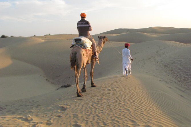 Half Day Sunset Camel ride & Cultural program dance & dinner - An In-Depth Look at the Experience