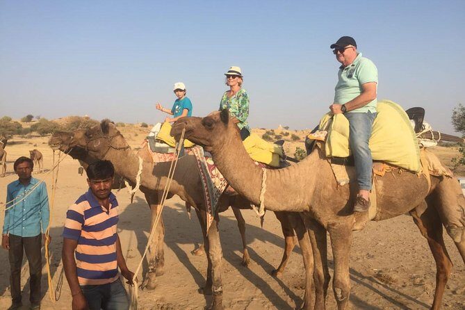 Half-Day Sunset Camel Safari in Rajasthan - Setting the Scene: What to Expect on the Safari