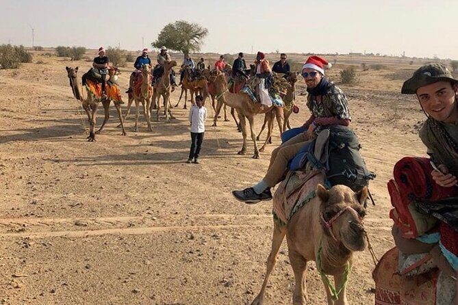 Half Day Sunset Camel Safari Jaisalmer - An Honest Look at the Experience