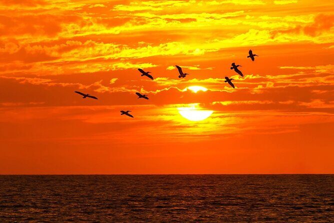 Half Day Sunset Luxury Sailing in Puerto Morelos with Open Bar - The Sum Up: Is It Worth While?