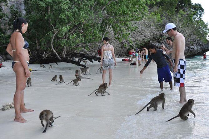 Half Day & Sunset Phi Phi Island Tour From Phi Phi by Speedboat - Pricing and Value