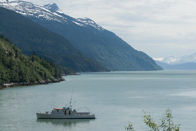 Half Day Suspension Bridge Tour in Skagway and Yukon - FAQ