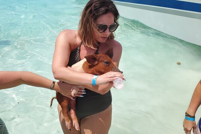 HALF DAY Swiming Pigs and Sharks Tour (Nassau to Exuma by Plane) - Exploring the Itinerary: What to Expect on Each Stop