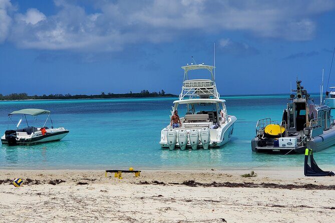 HALF DAY Swiming Pigs and Sharks Tour (Nassau to Exuma by Plane) - Who Should Consider This Tour?