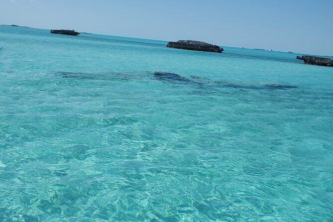 HALF DAY Swiming Pigs and Sharks Tour (Nassau to Exuma by Plane) - The Sum Up
