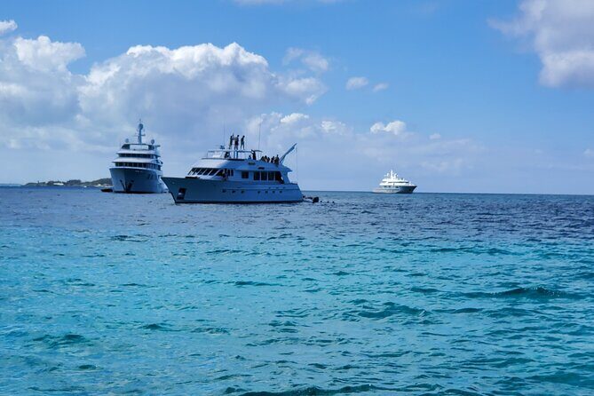 HALF DAY Swiming Pigs and Sharks Tour (Nassau to Exuma by Plane) - FAQ