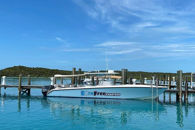 Half Day Swimming Pigs on Rose Island, Snorkeling and Lunch - Swimming with the Pigs at Rose Island