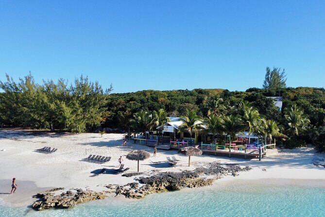 Half Day Swimming Pigs on Rose Island, Snorkeling and Lunch - Spotting Sea Turtles at Green Cay