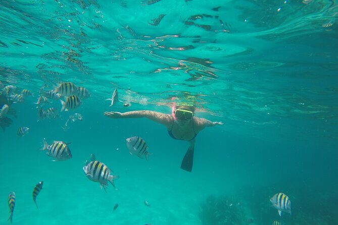Half Day Swimming Pigs on Rose Island, Snorkeling and Lunch - Authenticity and Experience