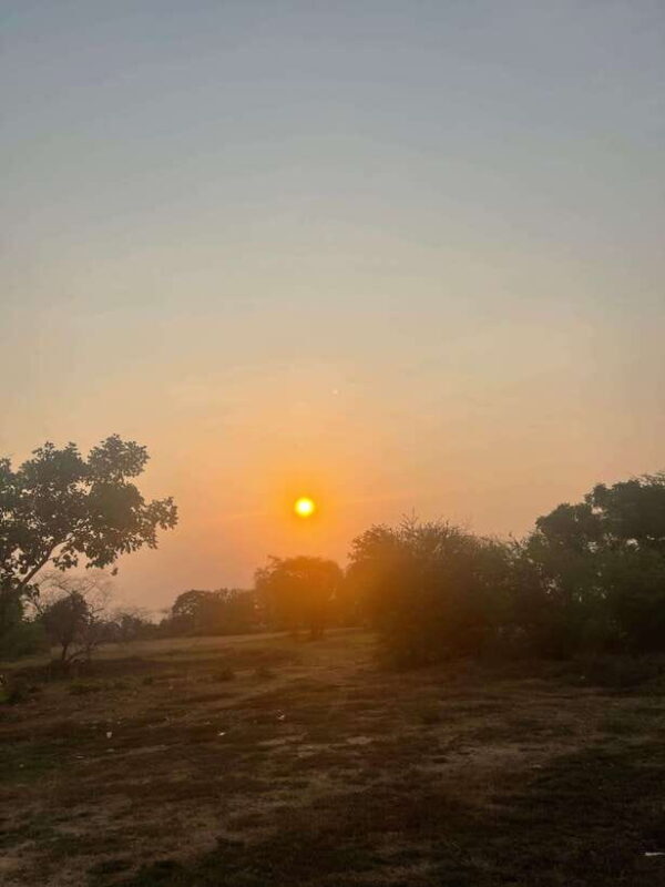 Half-day swing bridge, bamboo train, batcave & Killing cave - Who Would Enjoy This Tour?