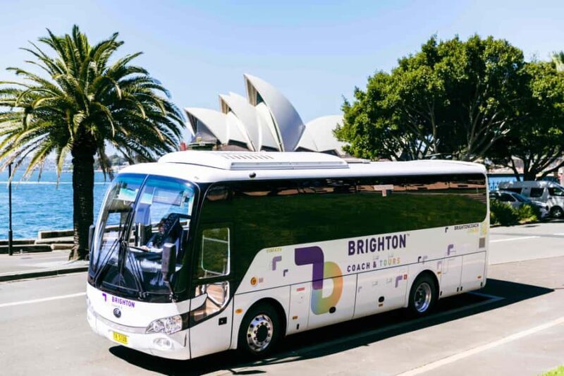 Half Day Sydney Sightseeing Tour - The Rocks & Bondi Beach - The Practical Side