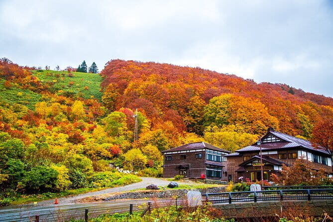 Half Day Takayama Inari Shrine Tour with Licensed Guide - FAQ