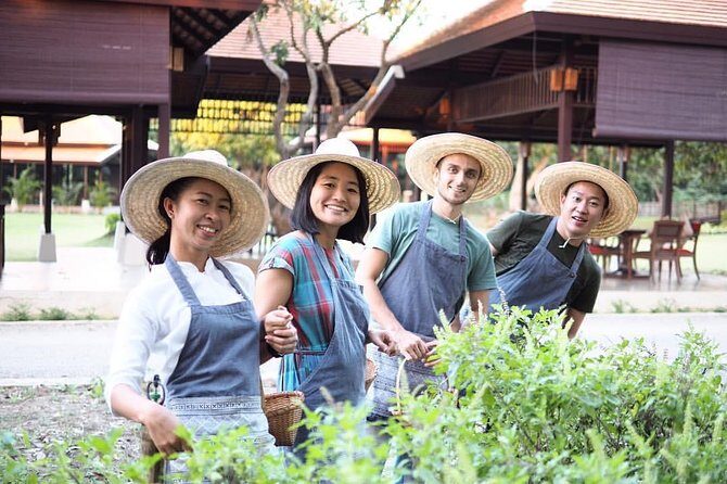 Half Day Thai Cooking Class in Organic Farm - Evening Session - An In-Depth Look at the Experience