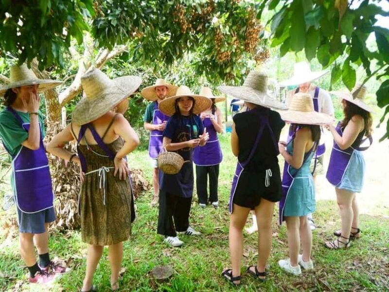 Half-Day Thai Cooking Class on a Local Farm Near Chiang Mai - Key Points