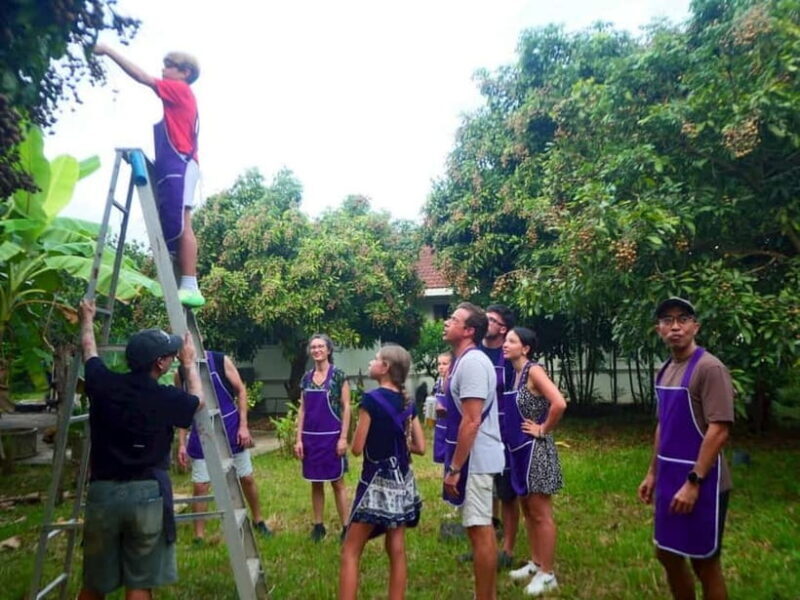 Half-Day Thai Cooking Class on a Local Farm Near Chiang Mai - The Sum Up