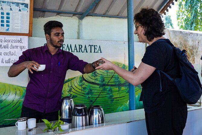 Half Day Thekkady Tea Trail Tour - Final Thoughts: Is It Worth It?