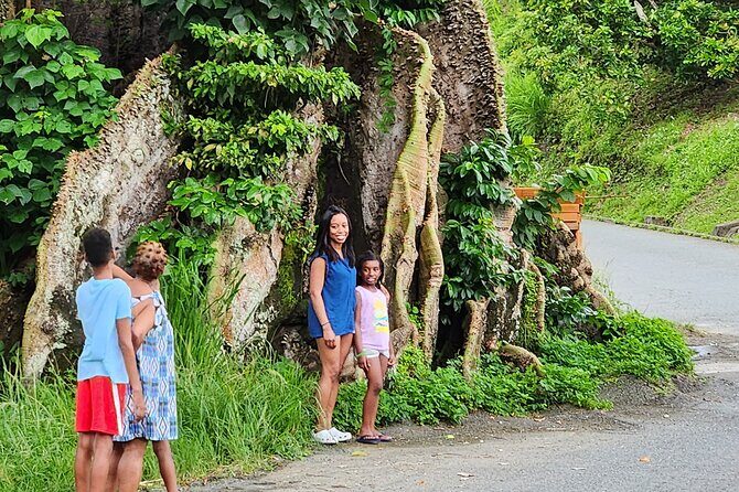 Half Day Tobago Tours with Transfers - Key Points