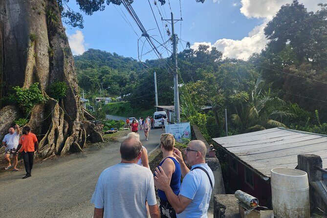 Half Day Tobago Tours with Transfers - What the Tour Offers