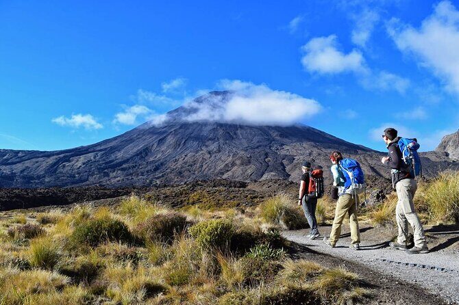 Half Day Tongariro Alpine Guided Group Walk - The Value of This Tour