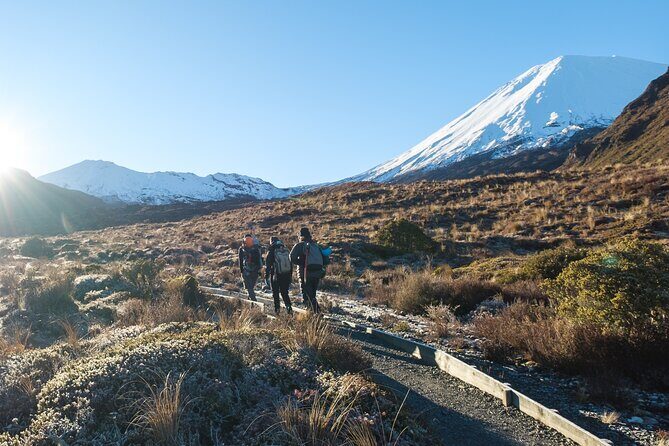 Half Day Tongariro Alpine Guided Group Walk - Who Will Love This Experience?