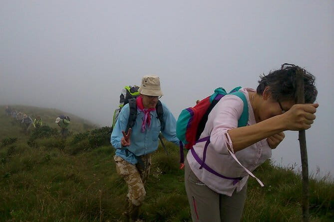 Half day Top Valley trek in Munnar - An In-Depth Look at the Top Valley Trek Experience