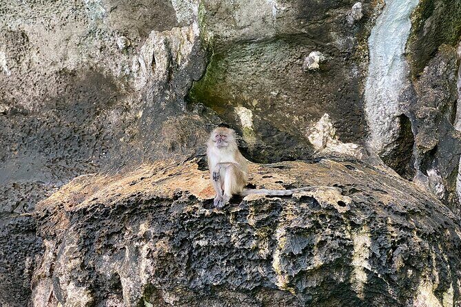 Half Day Tour Around Phi Phi Islands By Private Longtail Boat From Phi Phi - Final Recommendation