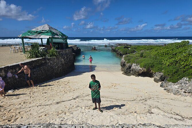Half Day Tour at Eton Beach and Blue Lagoon with Lunch at Turtles - Turtle Sanctuary: Learning and Lunch