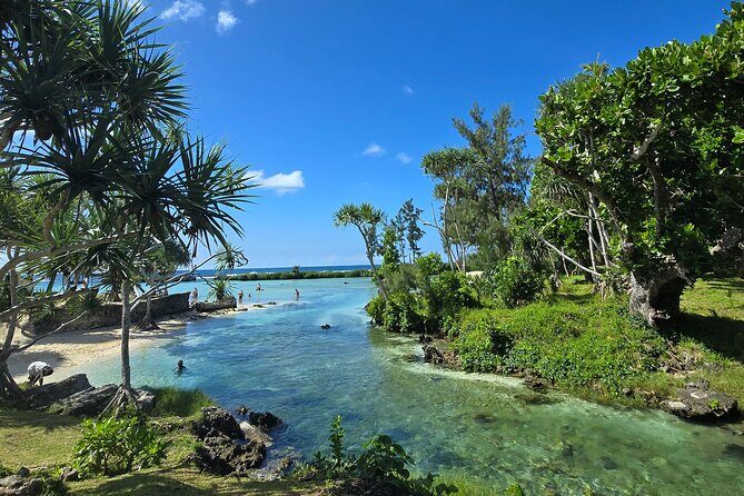 Half Day Tour at Eton Beach and Blue Lagoon with Lunch at Turtles - Final Thoughts