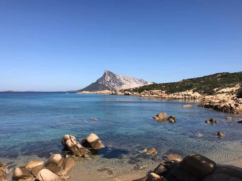 Half-day tour by dinghy in the Tavolara Marine Protected Area - Key Points