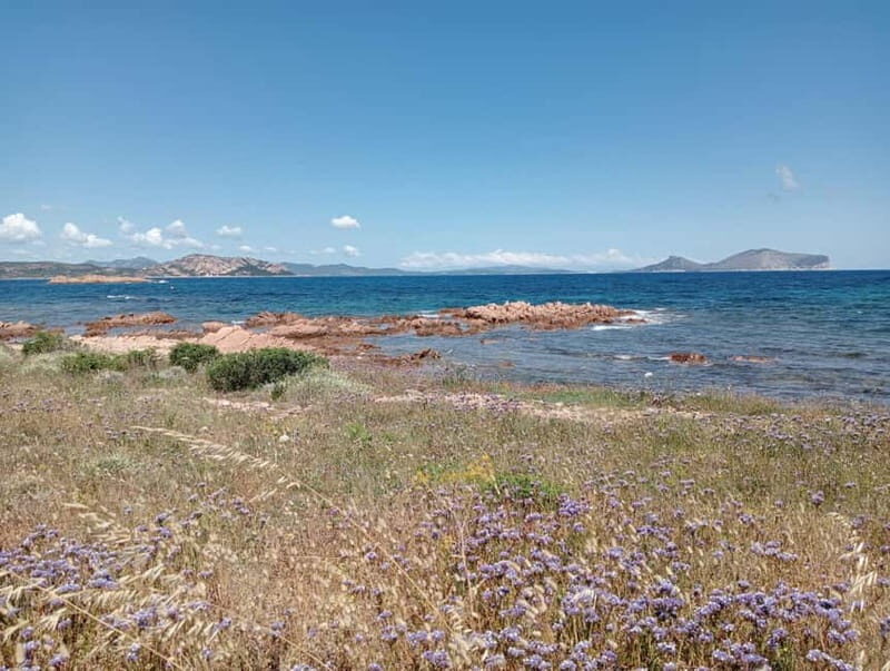 Half-day tour by dinghy in the Tavolara Marine Protected Area - What the Tour Includes & Excludes