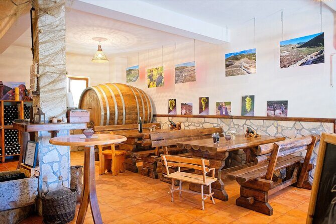 Half Day Tour - Deep and Dark Red Wine of Peljeac - Who This Tour Is Perfect For
