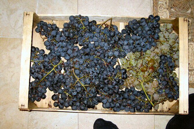 Half Day Tour - Deep and Dark Red Wine of Peljeac - Frequently Asked Questions (FAQs)