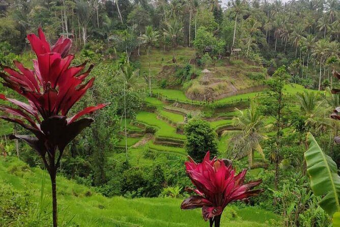 Half Day Tour: Discover Best of Ubud in 5 Hours - FAQs