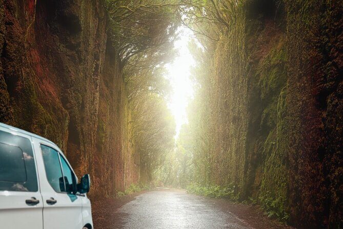 Half Day Tour Discovering Anaga Tenerife - An In-Depth Look at the Anaga Experience