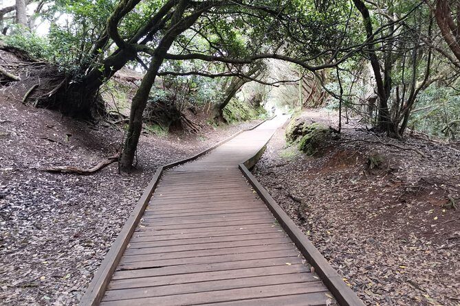 Half Day Tour Discovering Anaga Tenerife - FAQ