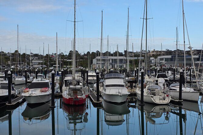 Half Day Tour EAST AUCKLAND Explorer and Scenic Ferry Return - Key Points