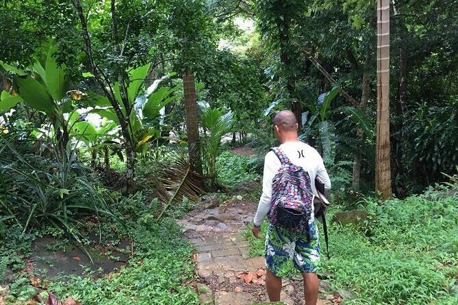 Half-Day Tour: El Yunque, Waterslides, and Luquillo Beach - Key Points