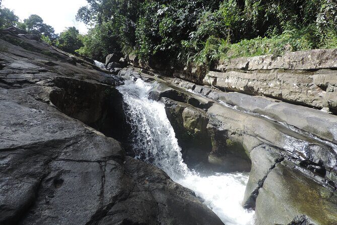 Half-Day Tour: El Yunque, Waterslides, and Luquillo Beach - Who Will Love This Tour?
