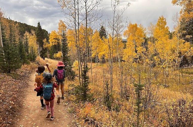 Half Day Tour from Denver Private Guided Hike with Curated Picnic - FAQ