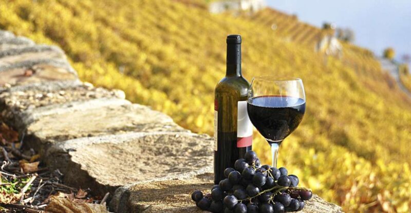 Half-Day Tour from Florence: Chianti Colors & Flavors - What to Expect: An In-Depth Breakdown