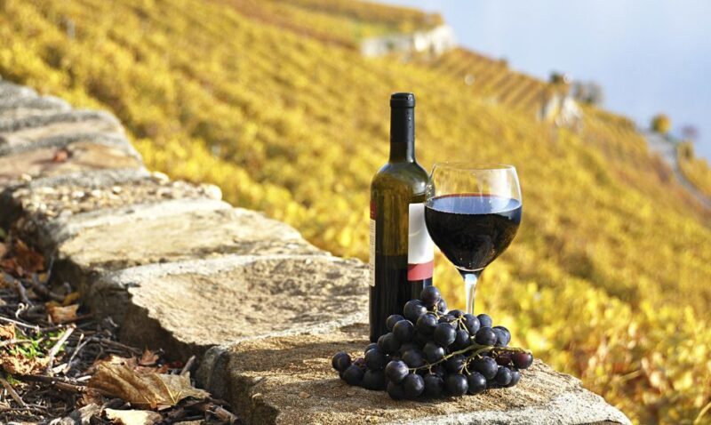 Half-Day Tour from Florence: Chianti Colors & Flavors - Who Should Consider This Tour?