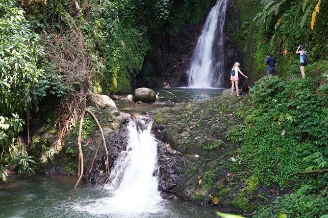 Half day tour: Grenada Seven Sisters Hike and Grand Etang Lake - Who Will Love This Tour?