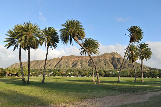 Half-day Tour in Diamond Head Sunrise and Parasail - Final Thoughts: Why Choose This Tour?