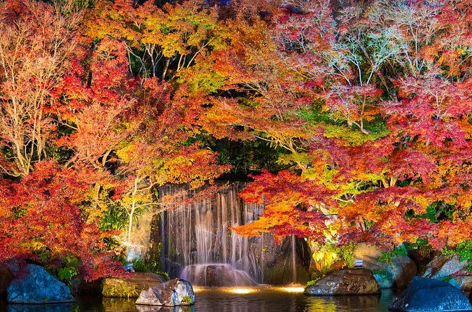 Half Day Tour in Himeji Castle and Koko-en - Who Will Enjoy This Tour?