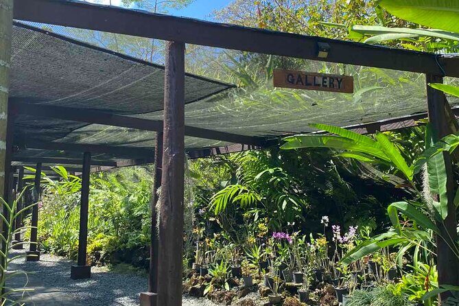 Half Day Tour in Nadi - Detailed Breakdown of the Itinerary