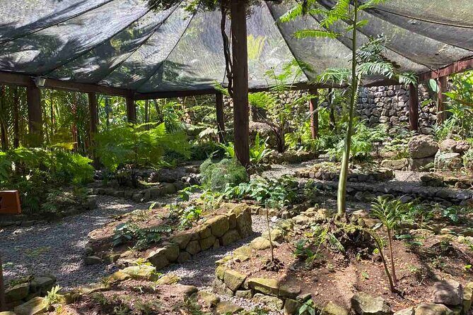 Half Day Tour in Nadi - Authentic Reviews and Traveler Feedback