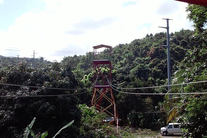Half Day Tour in Rainforest Zipline Park with Transportation - Final Thoughts: Who Should Consider This Tour?